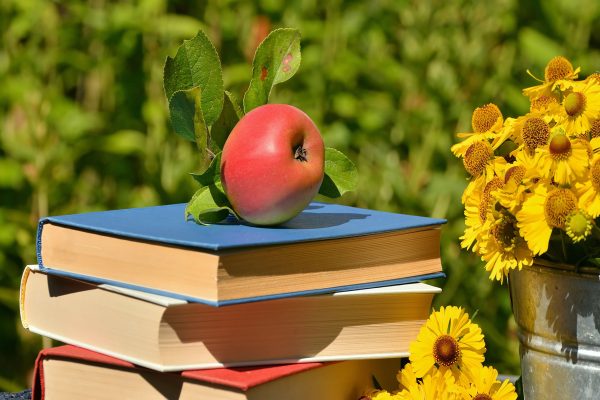 PROGRAMMES – Graduate School of Business