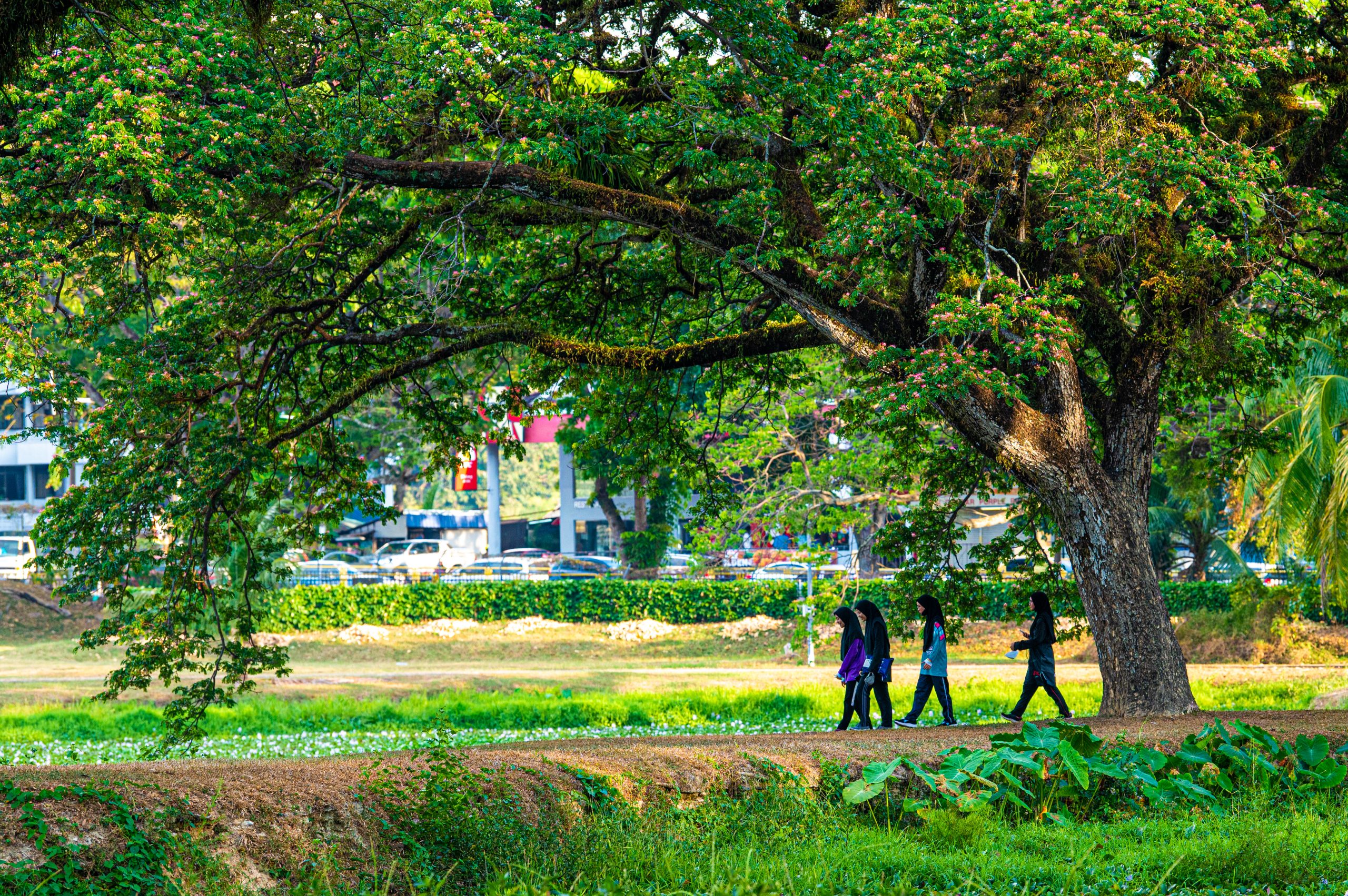 Graduate School of Business – Nurturing Business Sustainability