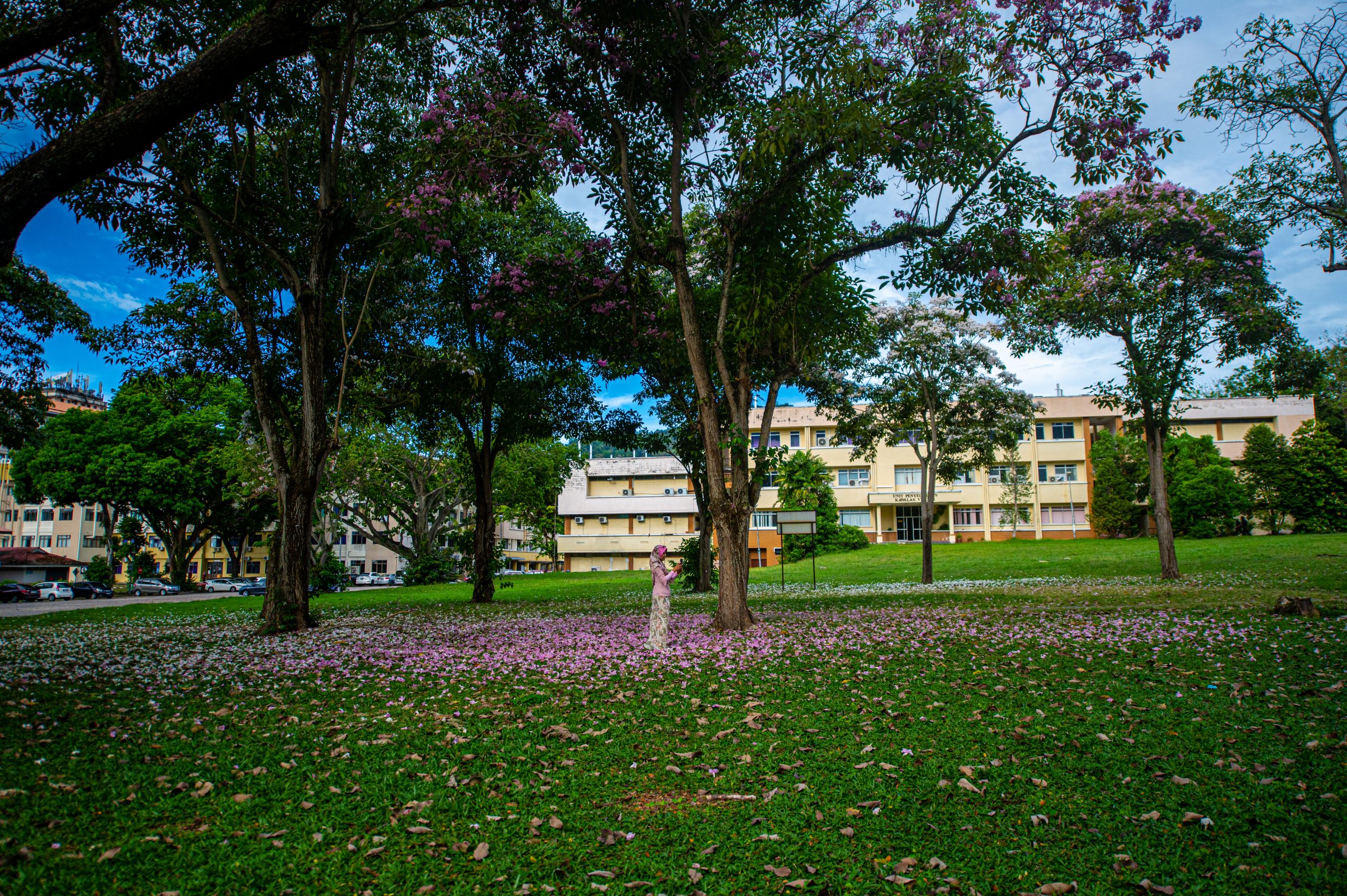 Graduate School of Business – Nurturing Business Sustainability